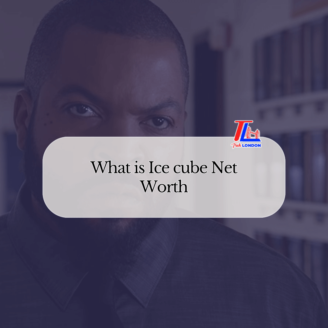 What is Ice cube Net Worth? | TrekLondon